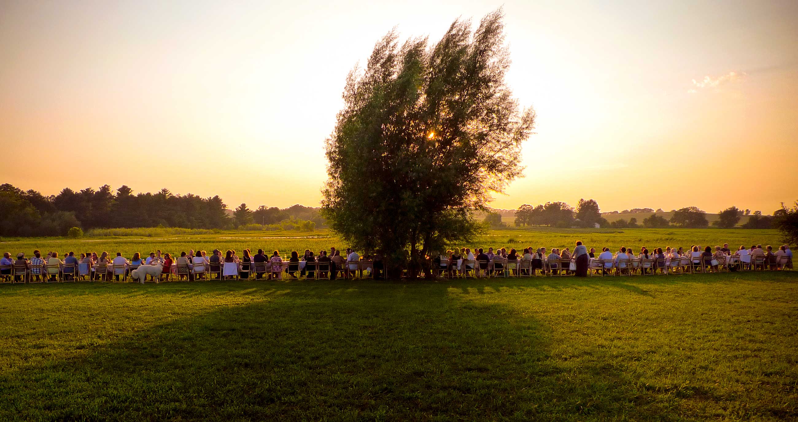 Bob Coscarelli Photography - Chicago