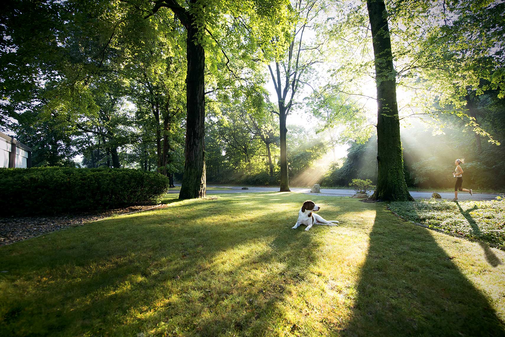 Bob Coscarelli Photography - Chicago
